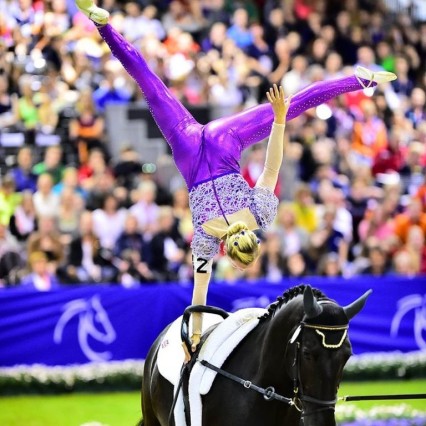 Medals | British Equestrian Vaulting