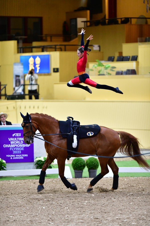 British equestrian vaulting team | British Equestrian Vaulting
